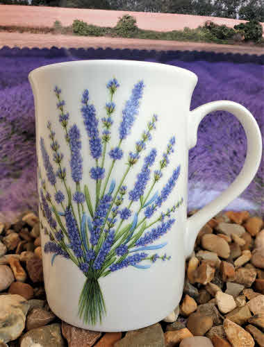 MUGS